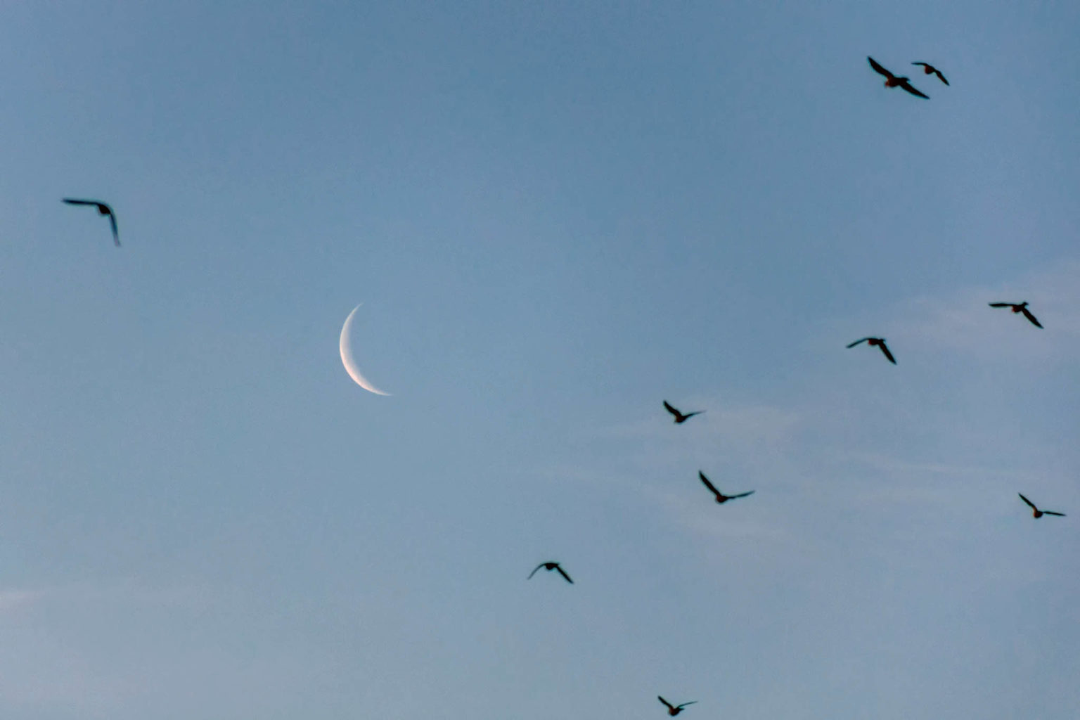 Mond fotografieren - Anleitung, Einstellungen + 5 Mondfotografie Tipps