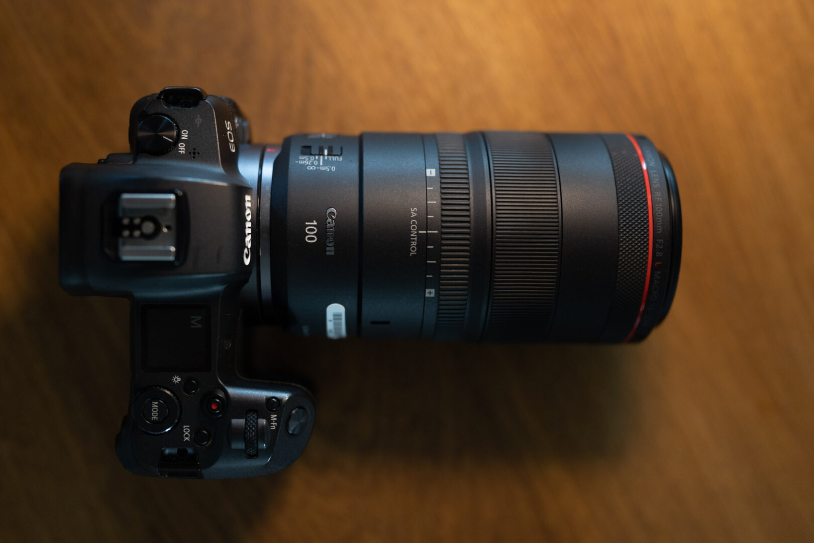 Canon RF 100mm 2.8 L IS USM Macro Test