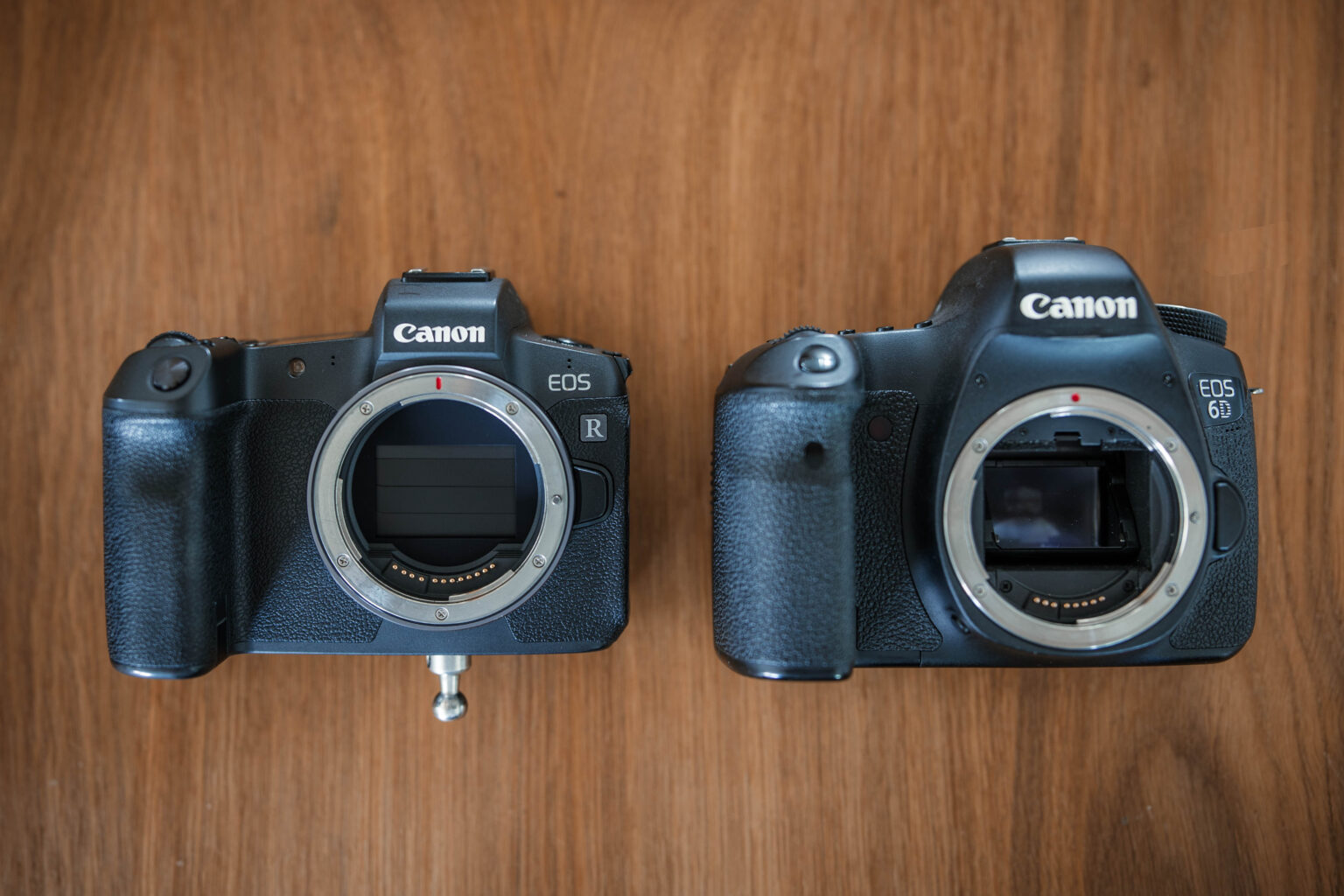 Systemkamera (DSLM) oder Spiegelreflexkamera (DSLR)