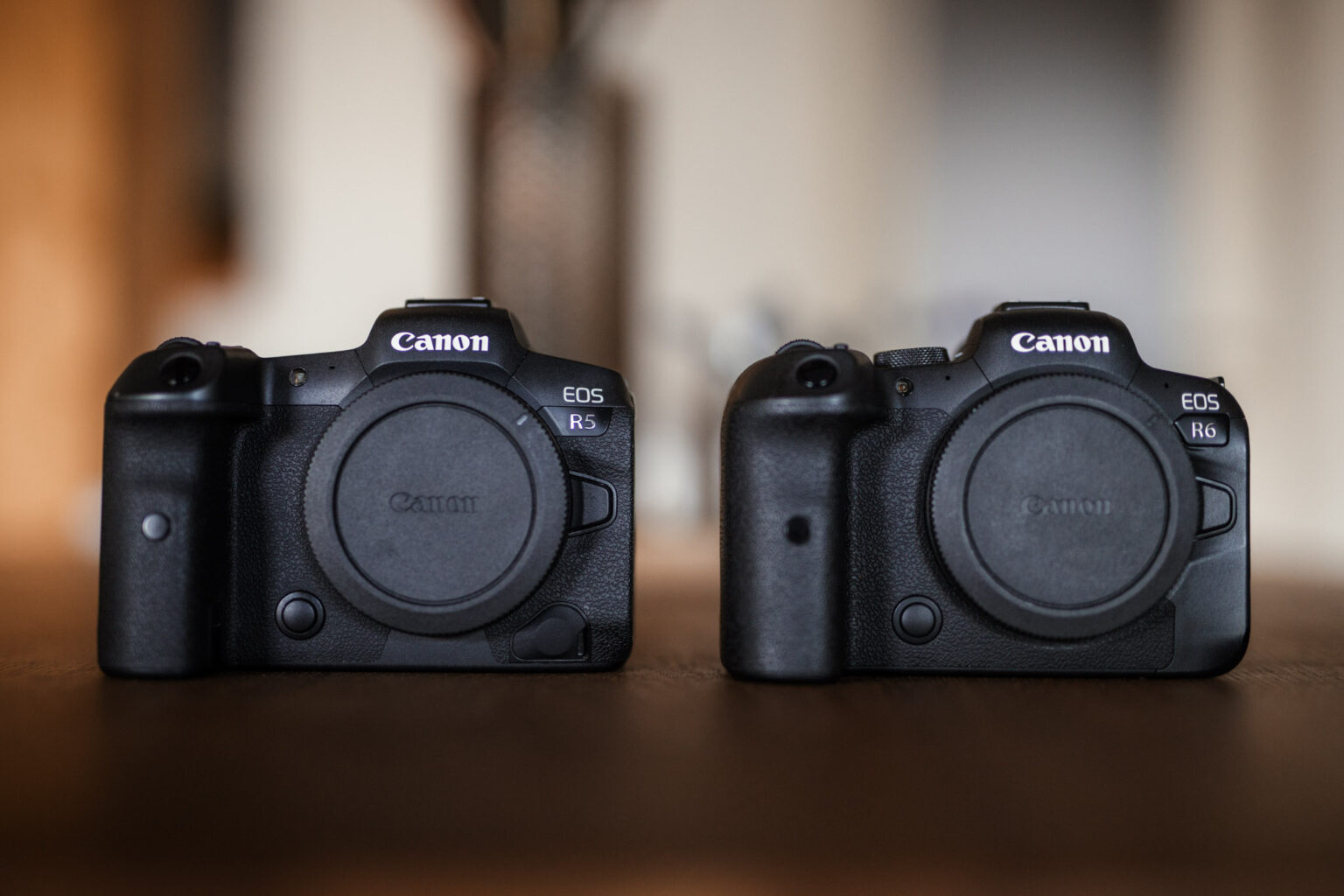 Systemkamera (DSLM) oder Spiegelreflexkamera (DSLR)