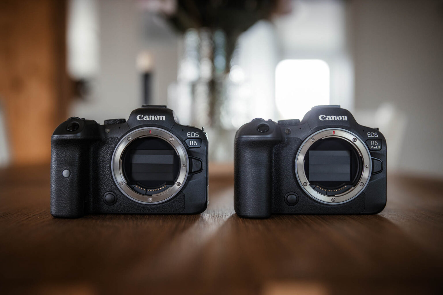 Canon EOS R6 vs EOS R6 Mark II - Vergleich der Canon DSLM