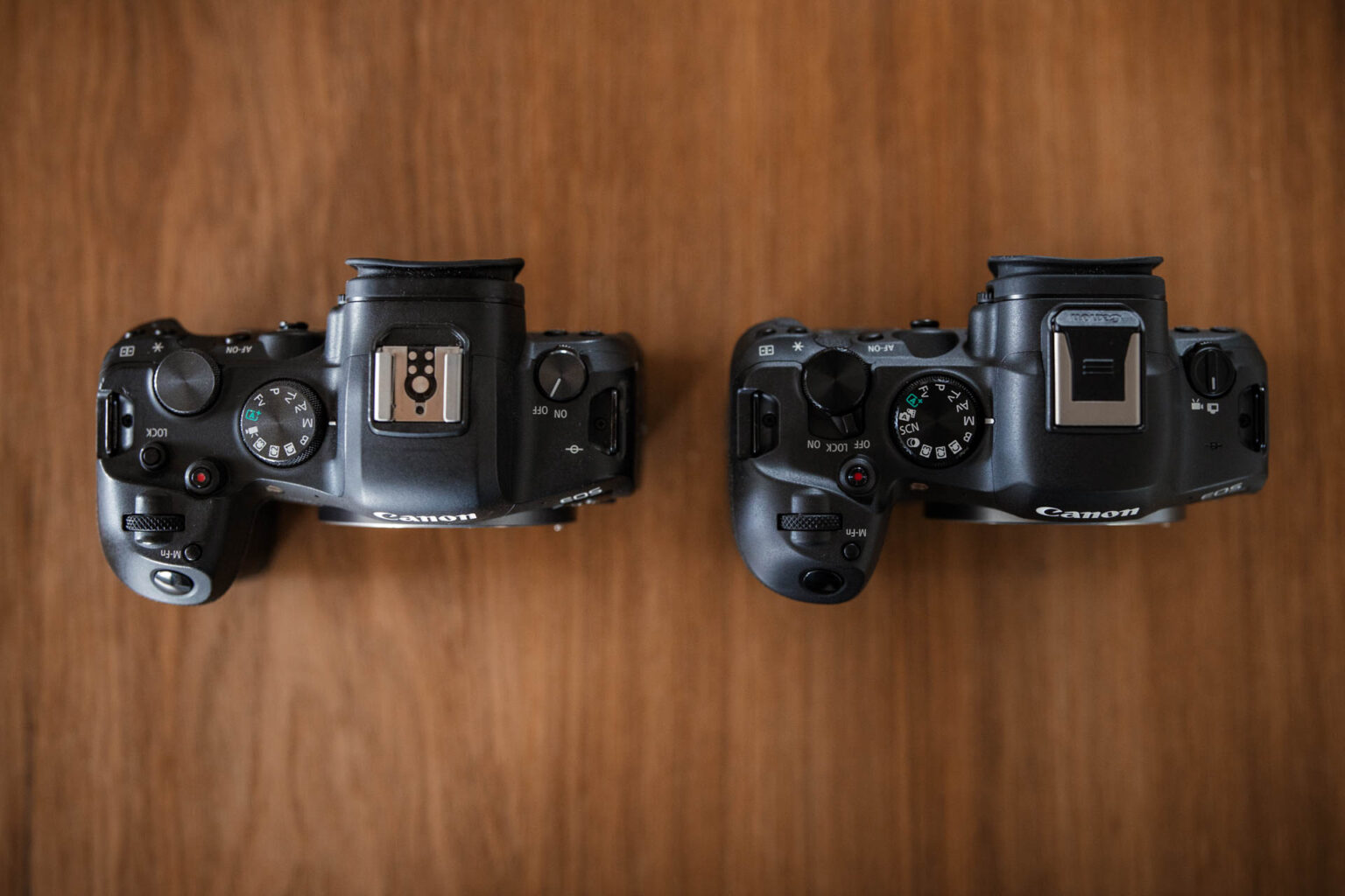 Canon EOS R6 vs EOS R6 Mark II - Vergleich der Canon DSLM