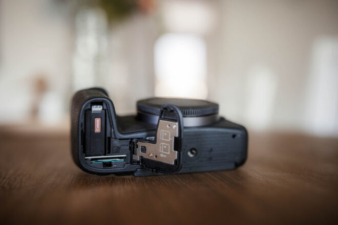 Canon EOS R7 vs. EOS R8 - Vergleich der Systemkameras