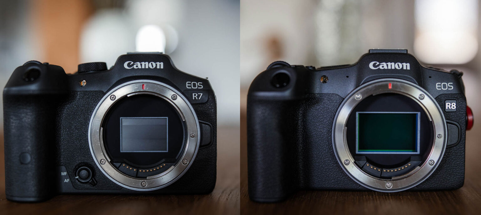 Canon EOS R7 vs. EOS R8 - Vergleich der Systemkameras