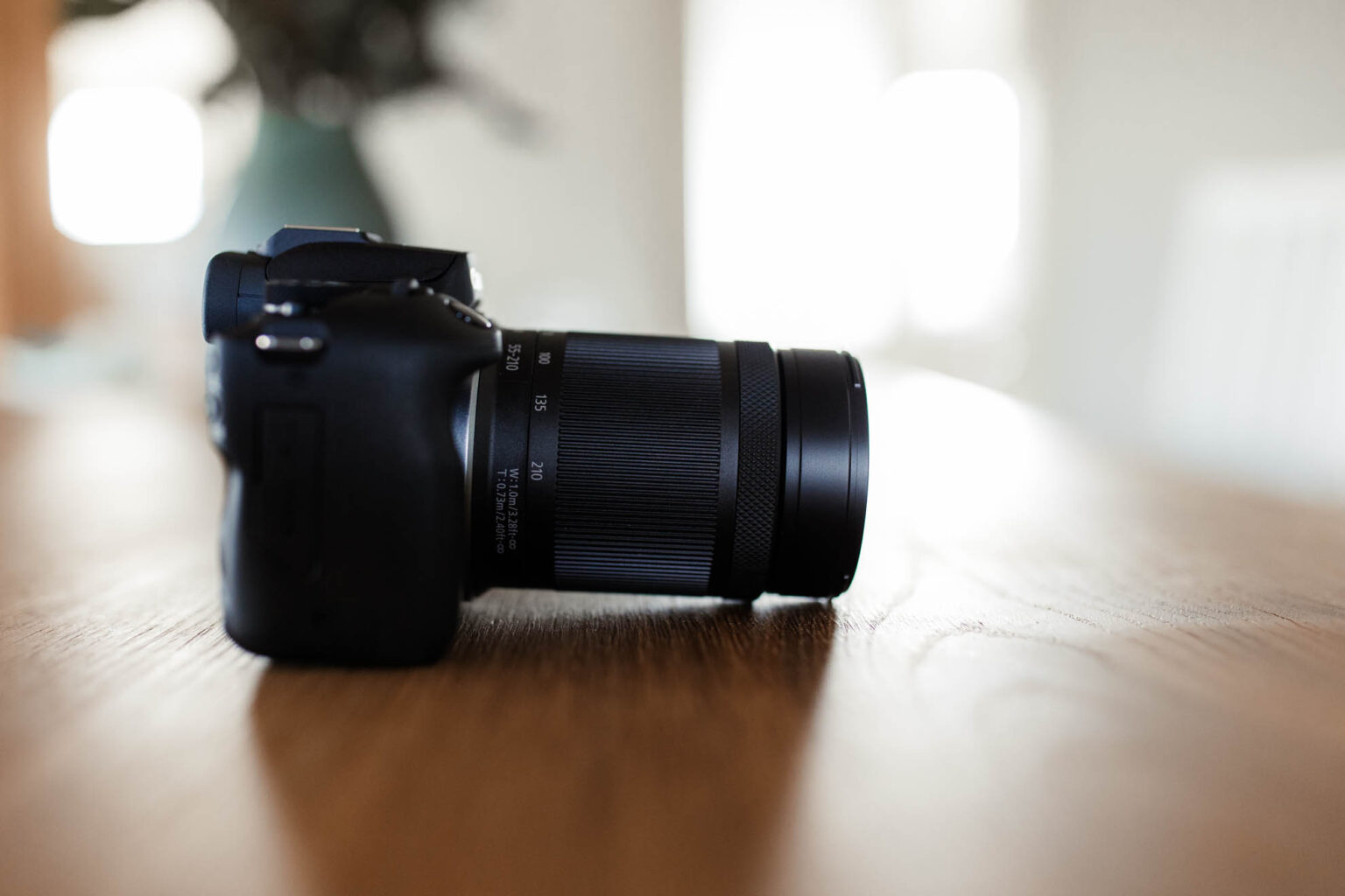 Canon EOS R100 Test: ultimative Einsteigerkamera oder nicht?