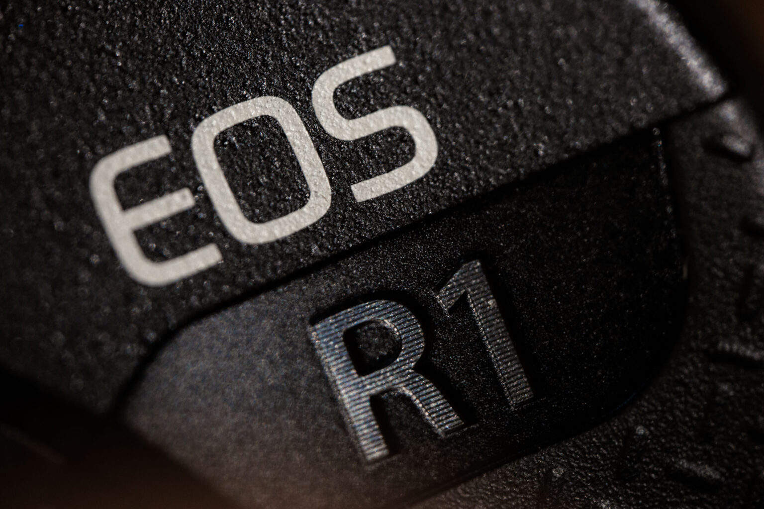 Canon EOS R1 Test & Erfahrungen - High-End Kamera für Profis